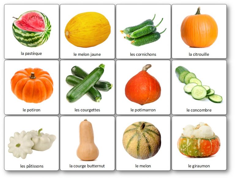 Jeu de mémoire des cucurbitacées - un jeu pour apprendre à mieux les ...